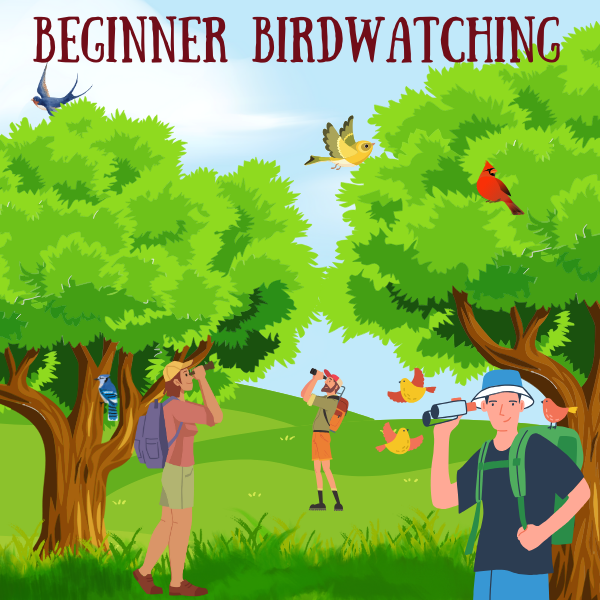 Beginner Birdwatching | Cherry Valley Public Library District